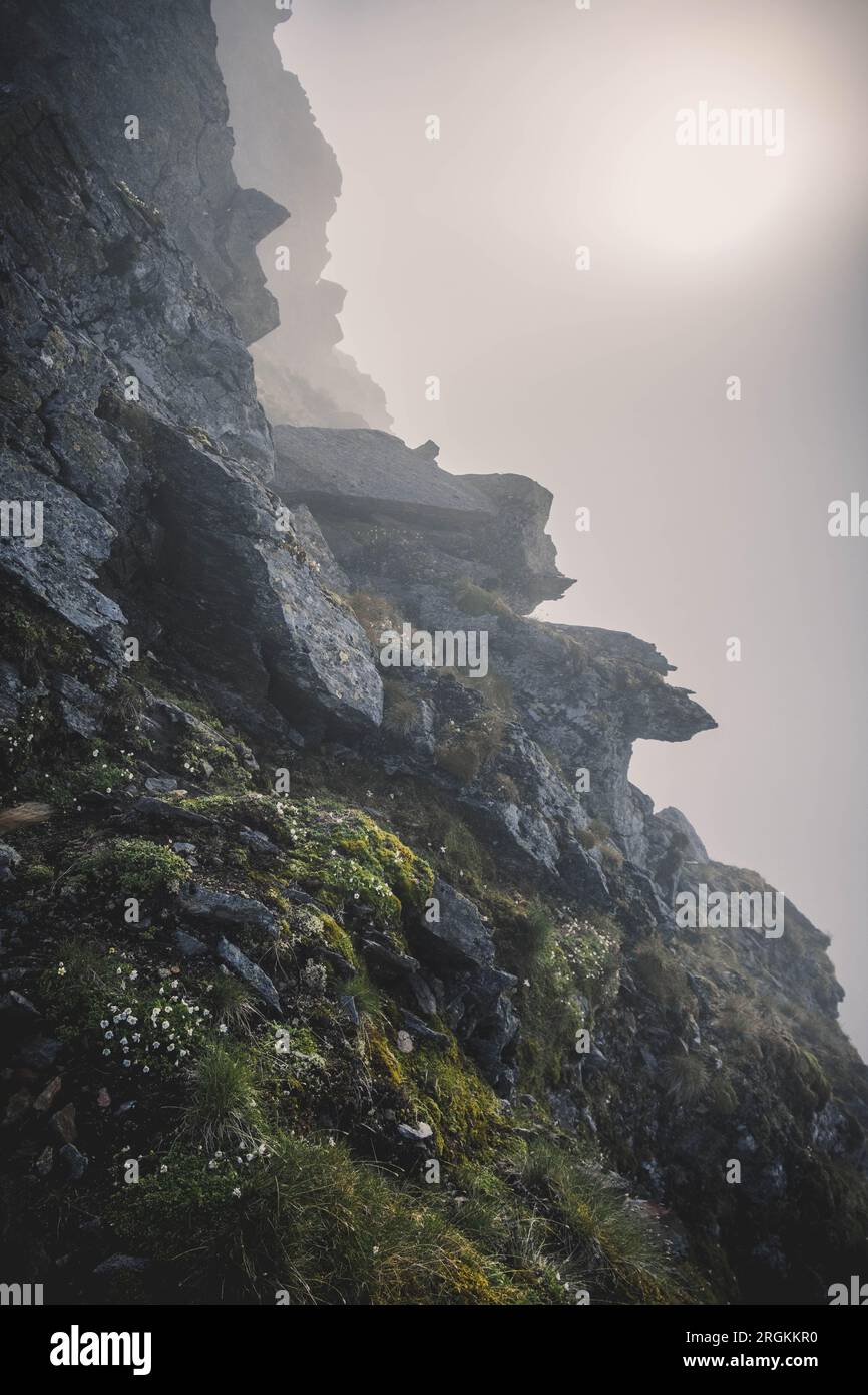 Raw rocks, background, rocks overgrown with green plants, sun shining ...