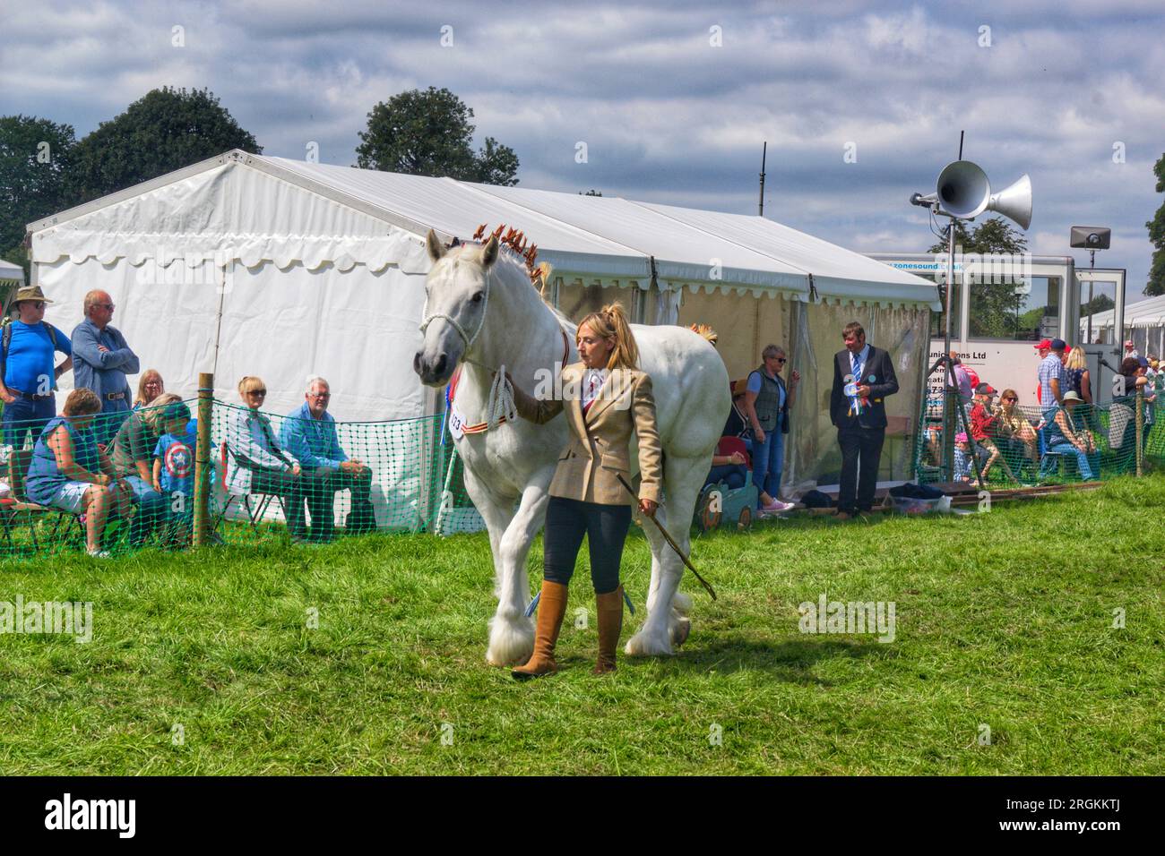 The Horse and Parade Stock Photo - Alamy