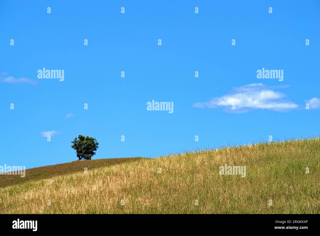 Campagna paesaggio cielo nuvola hi-res stock photography and images - Alamy