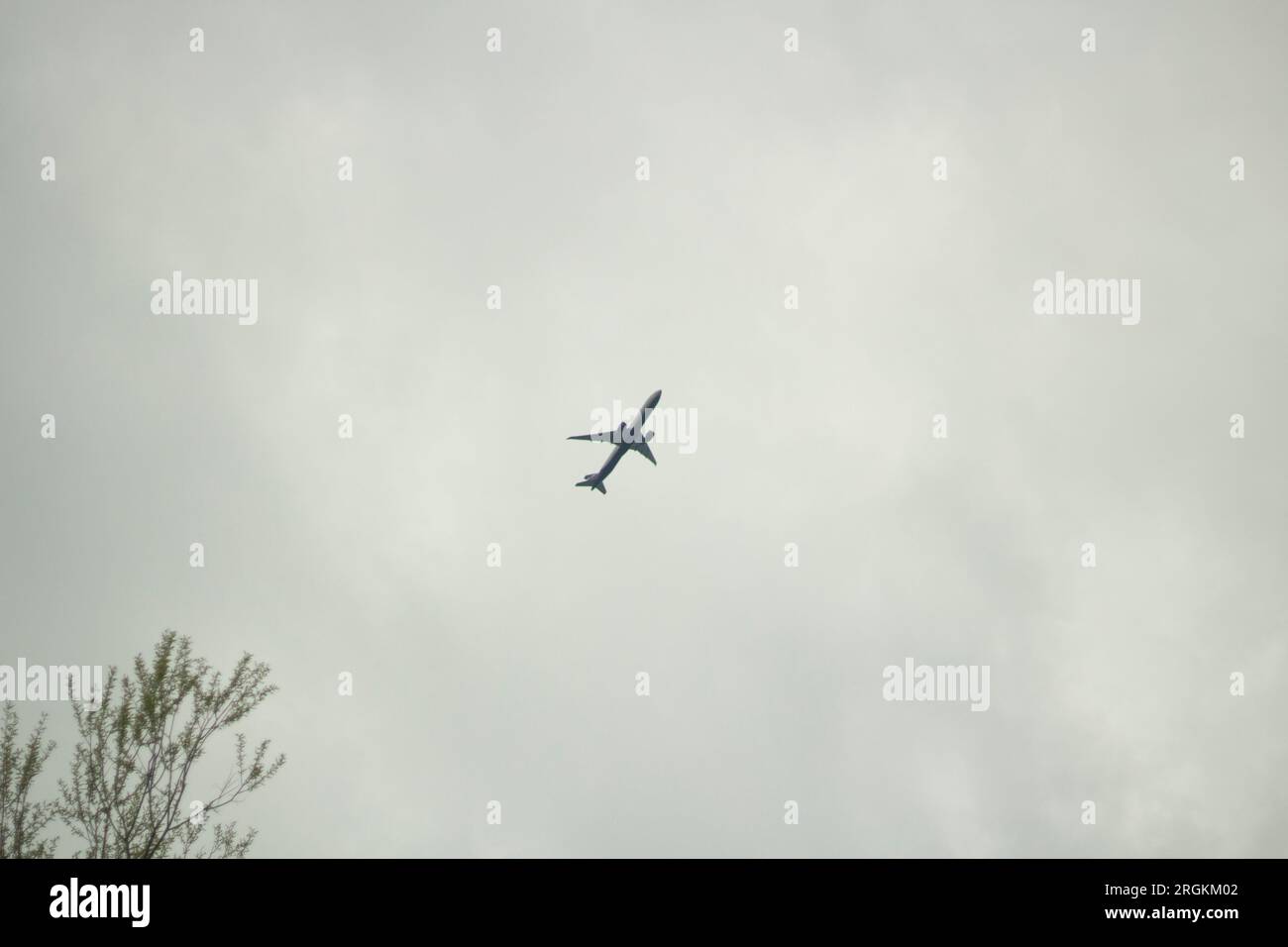 Small plane screw hi-res stock photography and images - Alamy