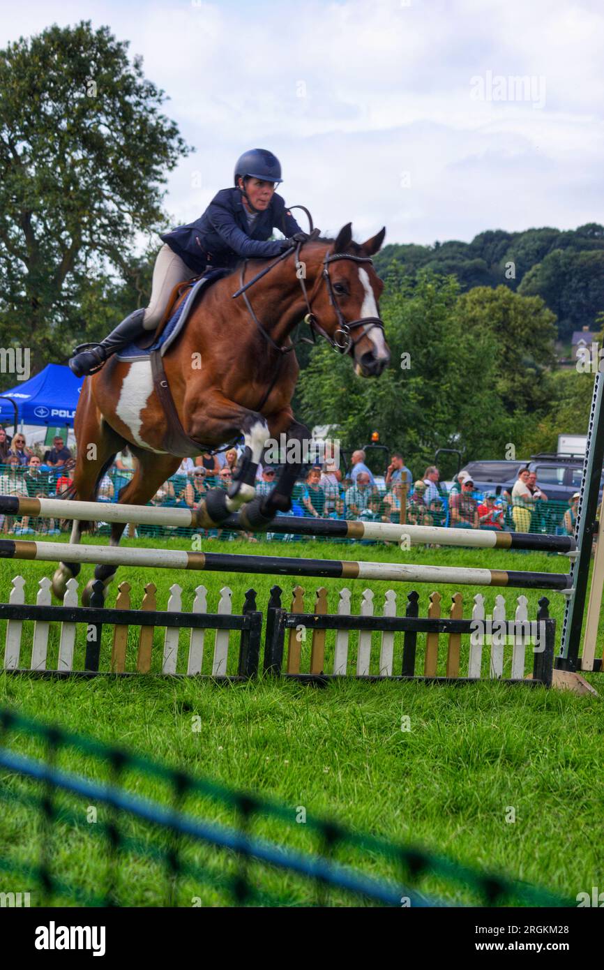 Flying at Ashover Show Stock Photo - Alamy