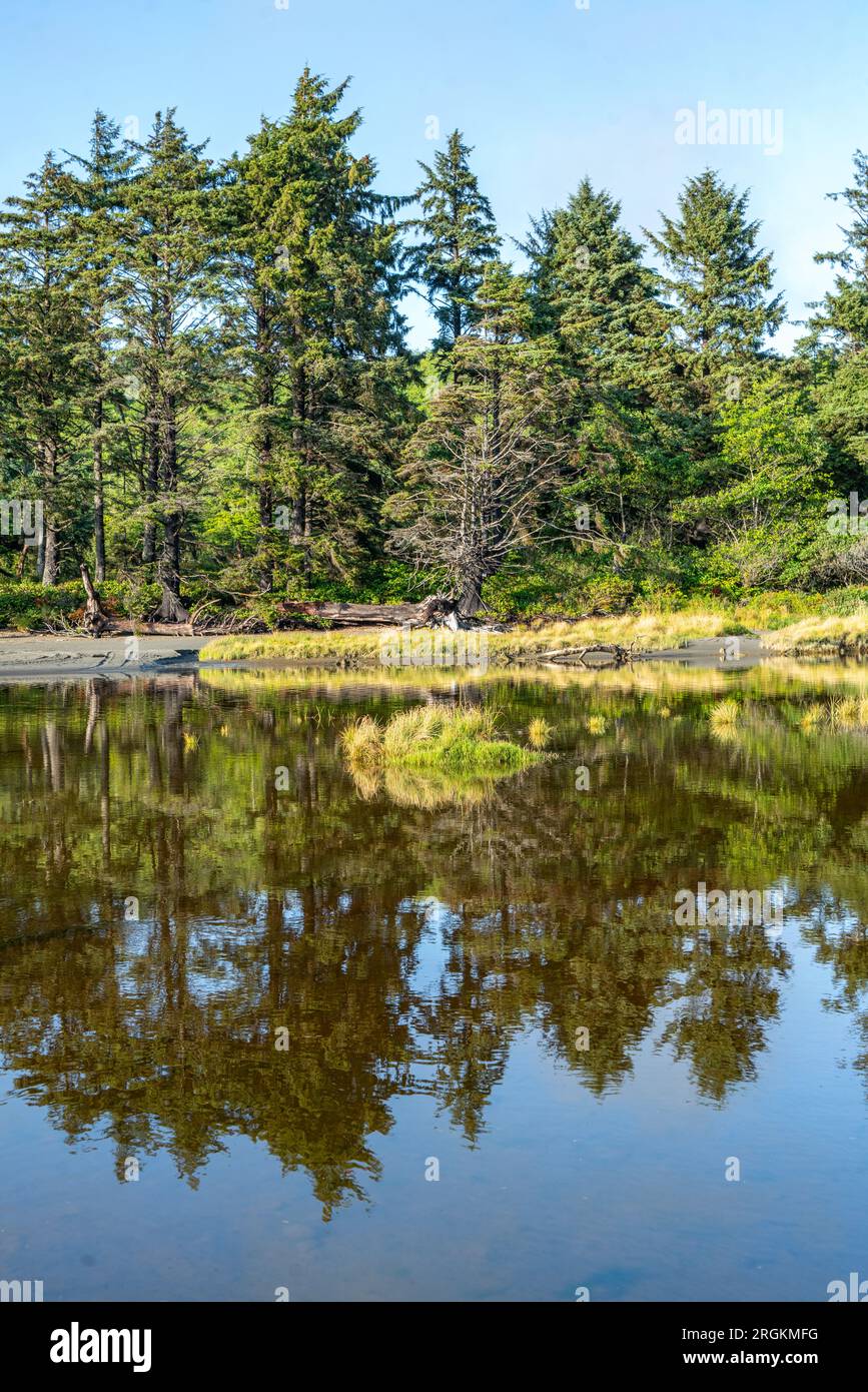 A landscape photo of the Moclips River in Washington State Stock Photo ...