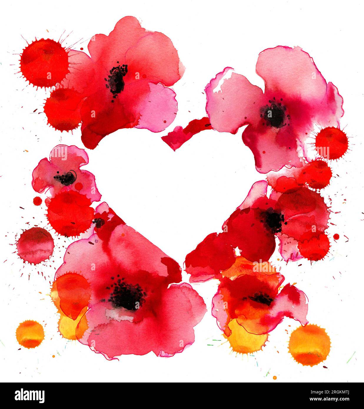 Heart shape and red poppy flowers. Hand-drawn watercolor painting Stock ...