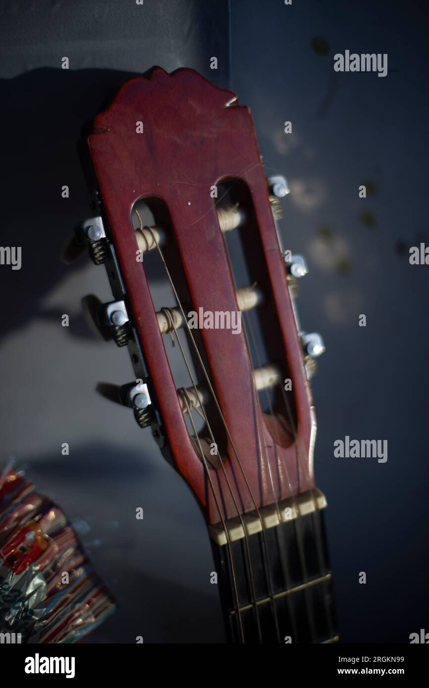 Guitar vulture. Musical instrument. strings on acoustic guitar. String ...