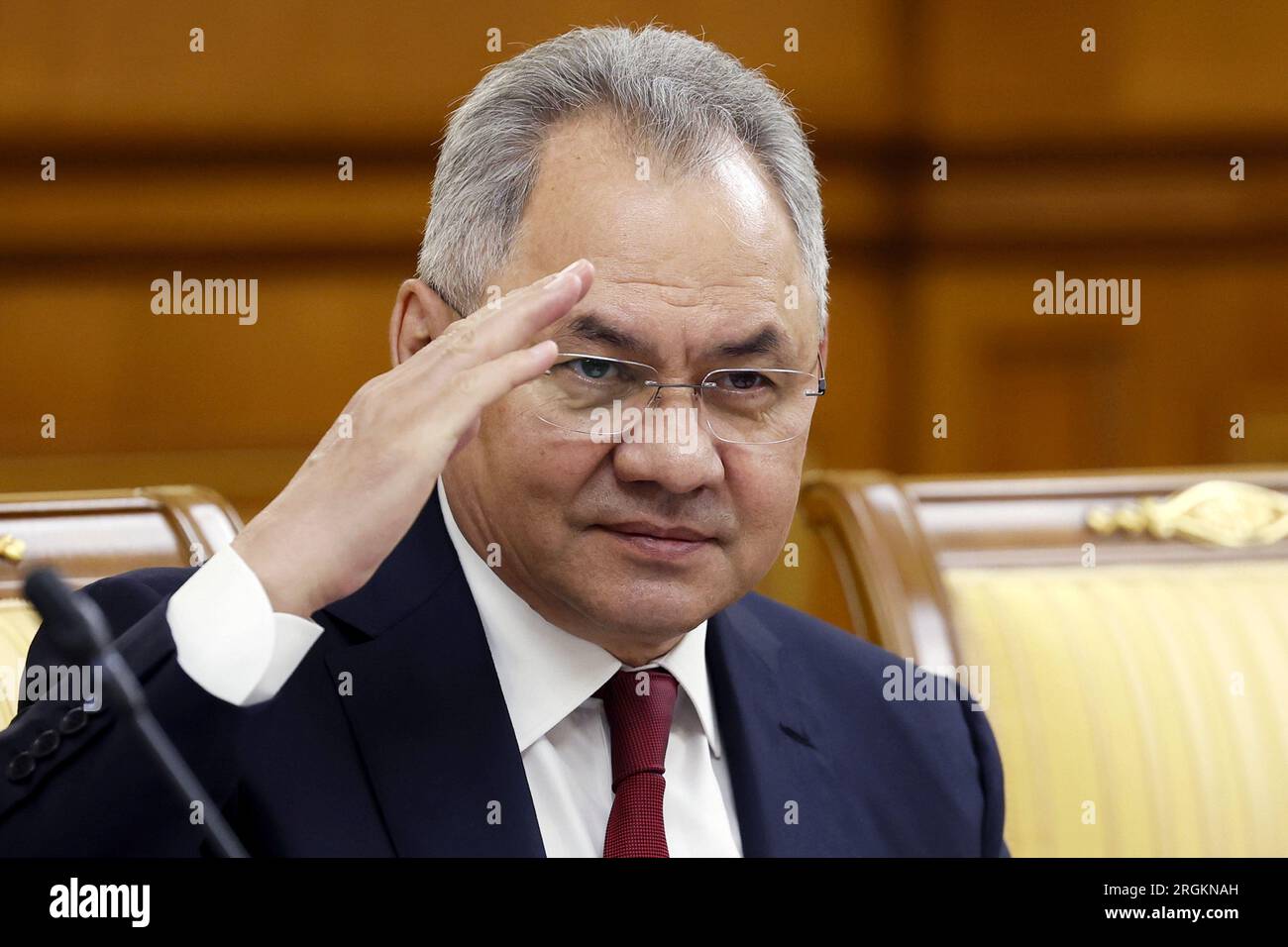 Russian Defense Minister Sergei Shoigu gestures as he speaks during a ...