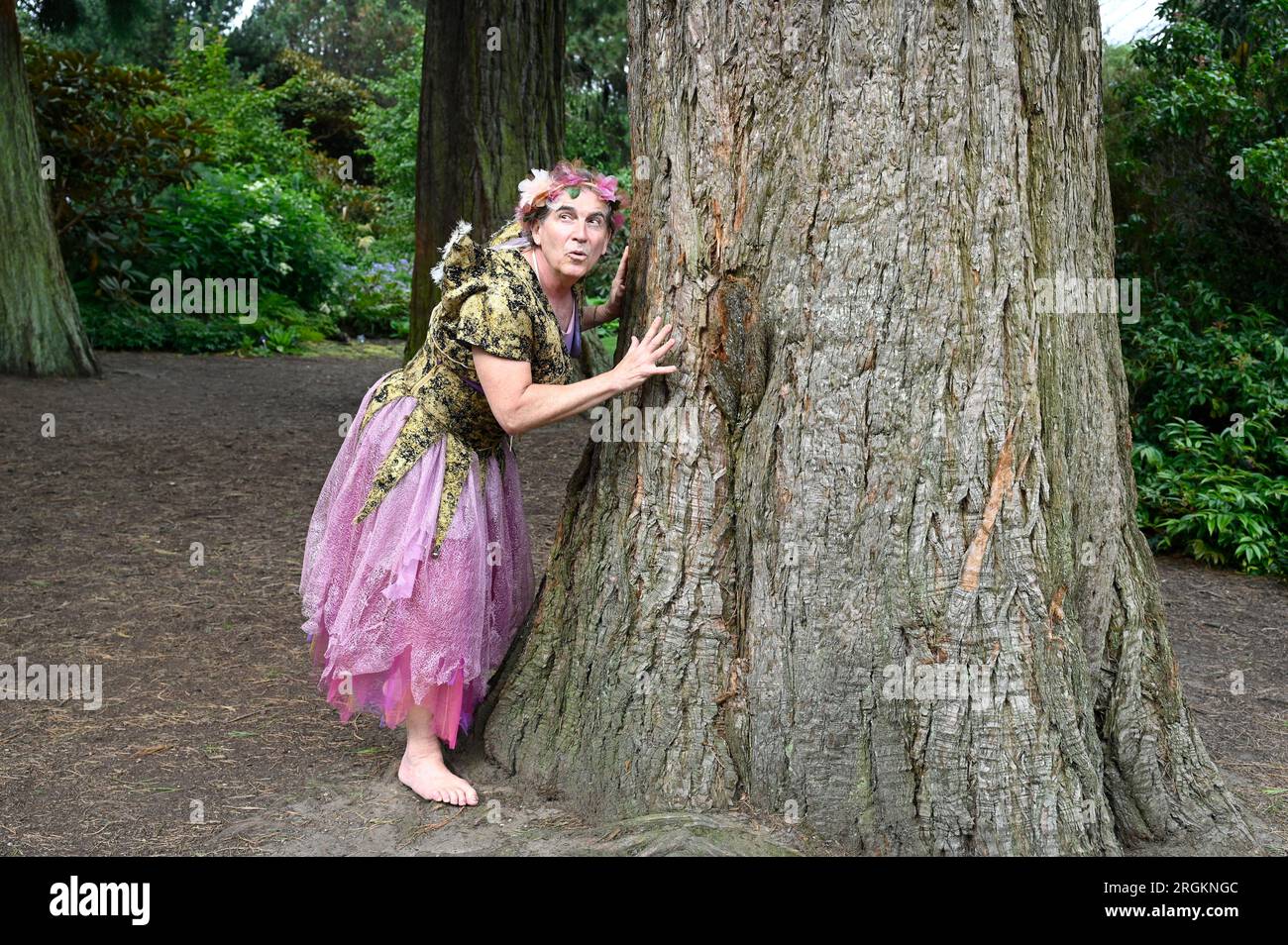 Teviot garden hi-res stock photography and images - Alamy