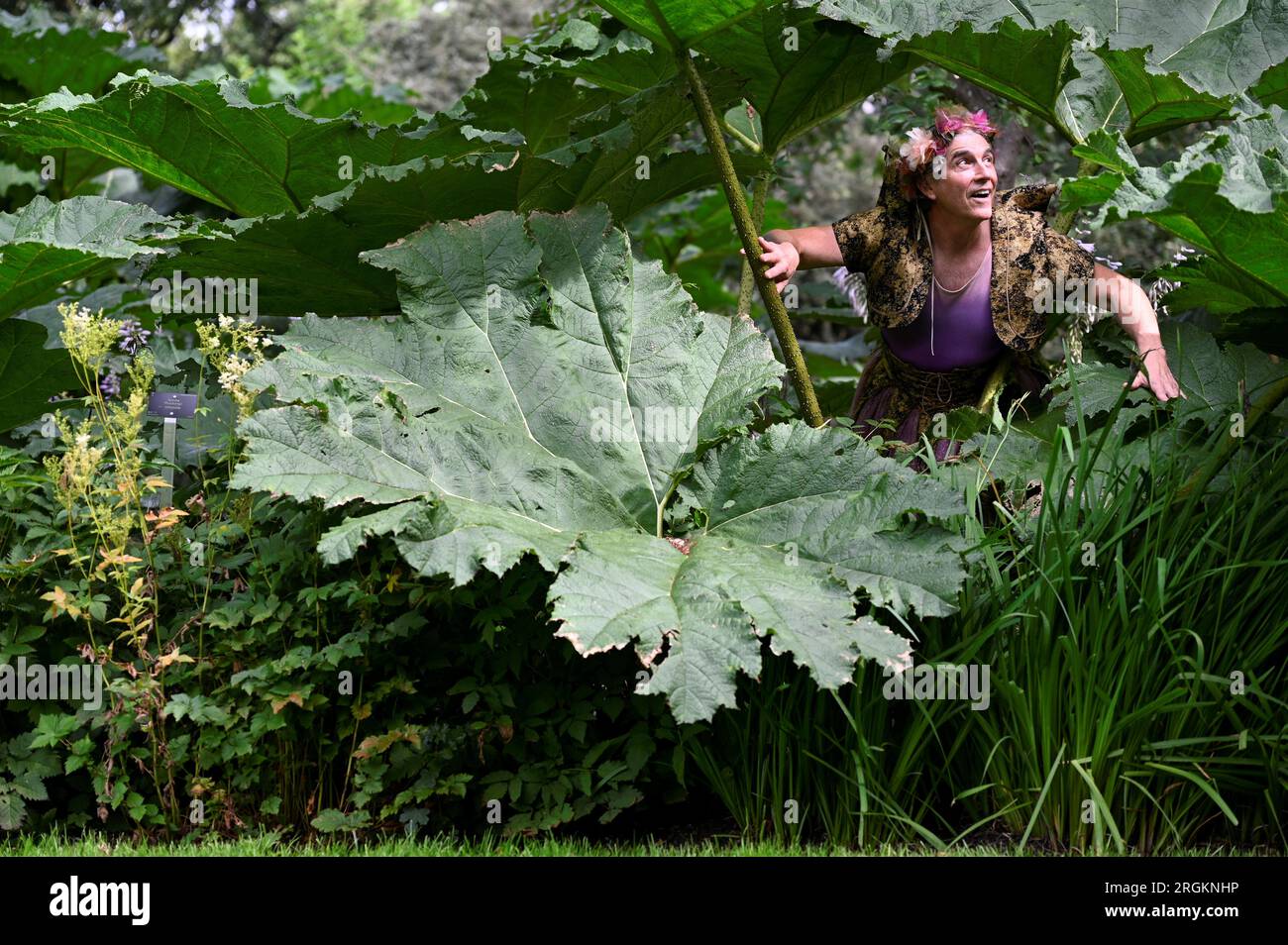 Teviot garden hi-res stock photography and images - Alamy