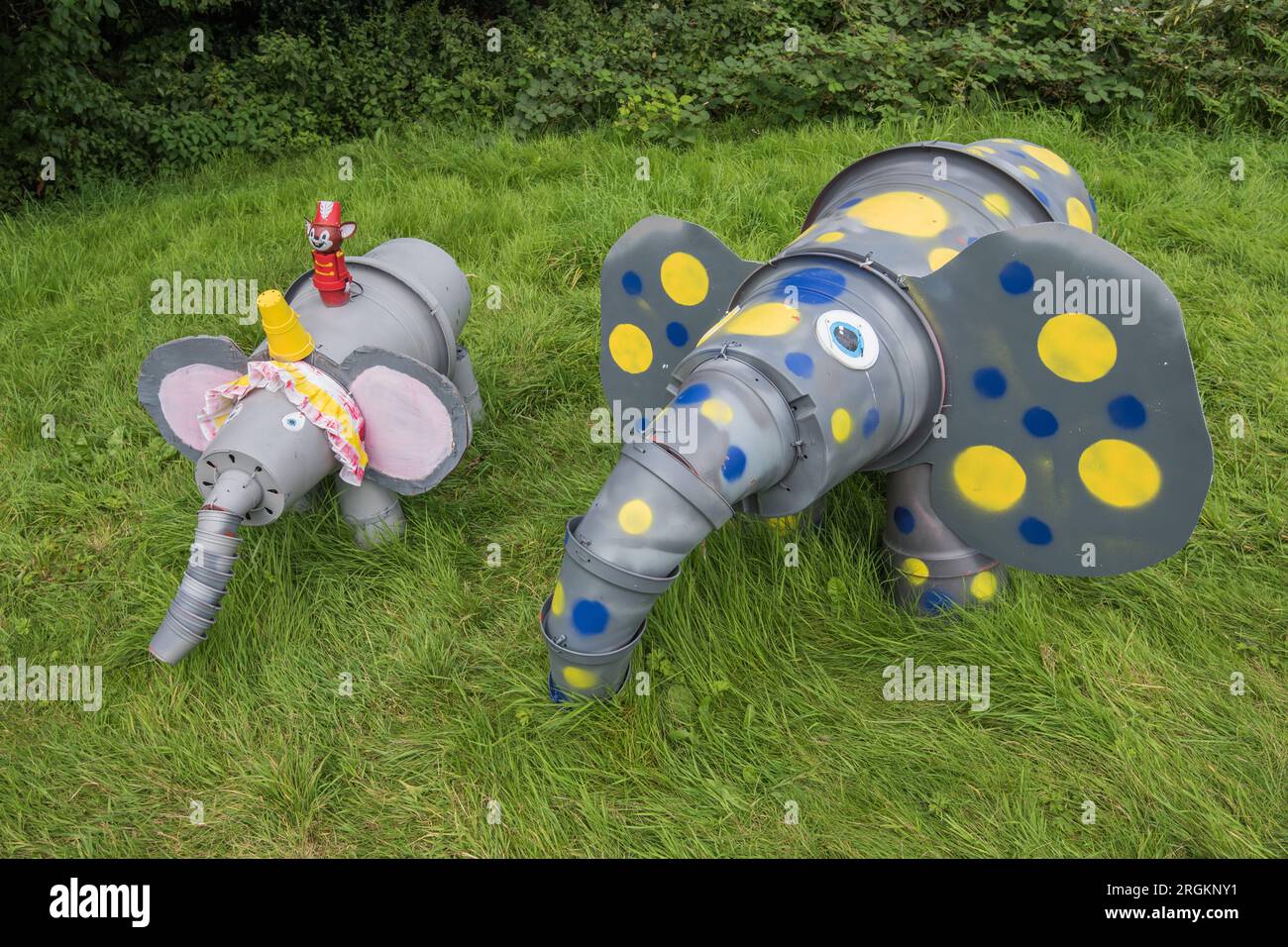 Settle Flowerpot Festival 2023, special 10th anniversary year, has some ...