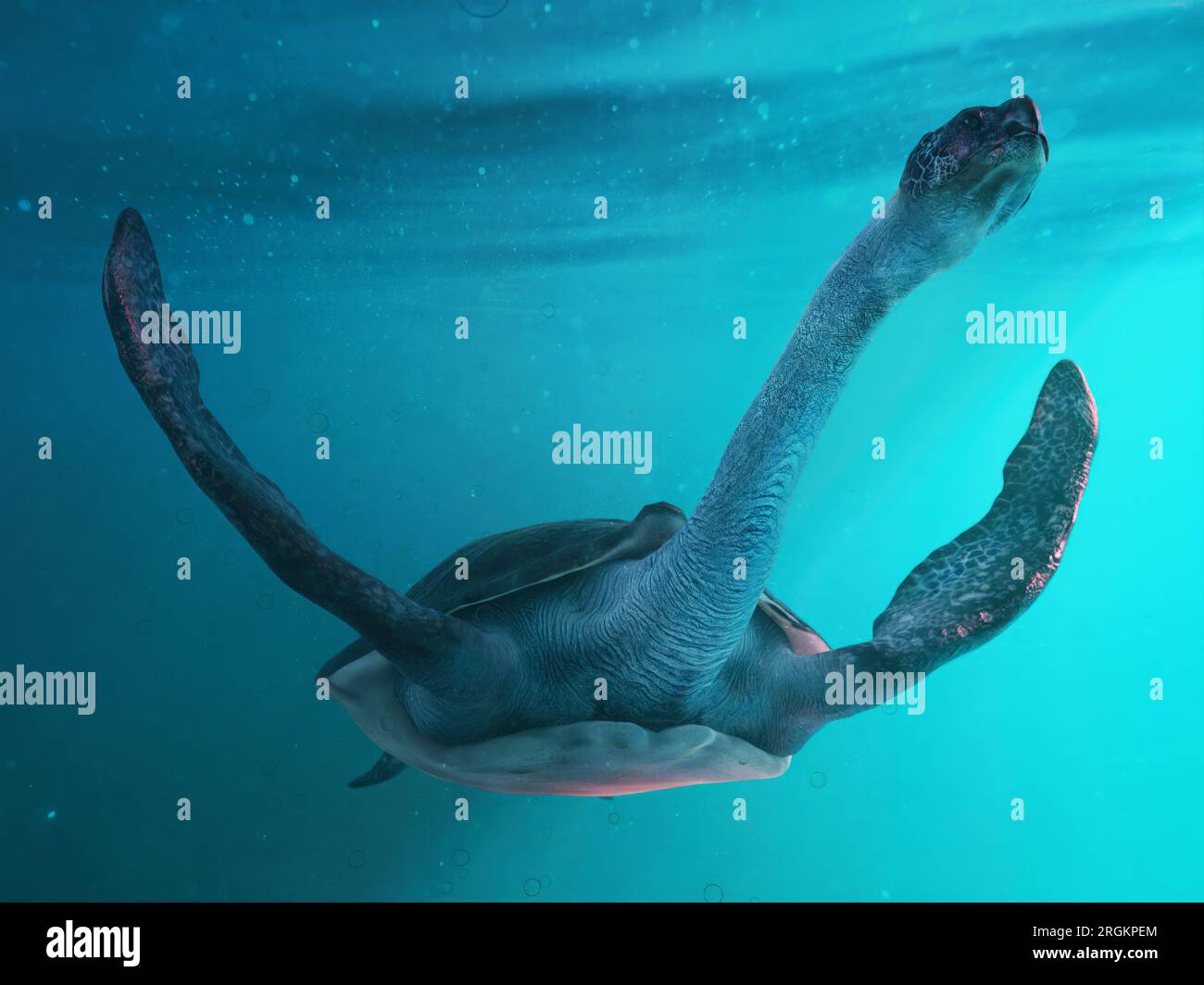 3d rendering of giant sea turtle diving deep underwater Stock Photo - Alamy
