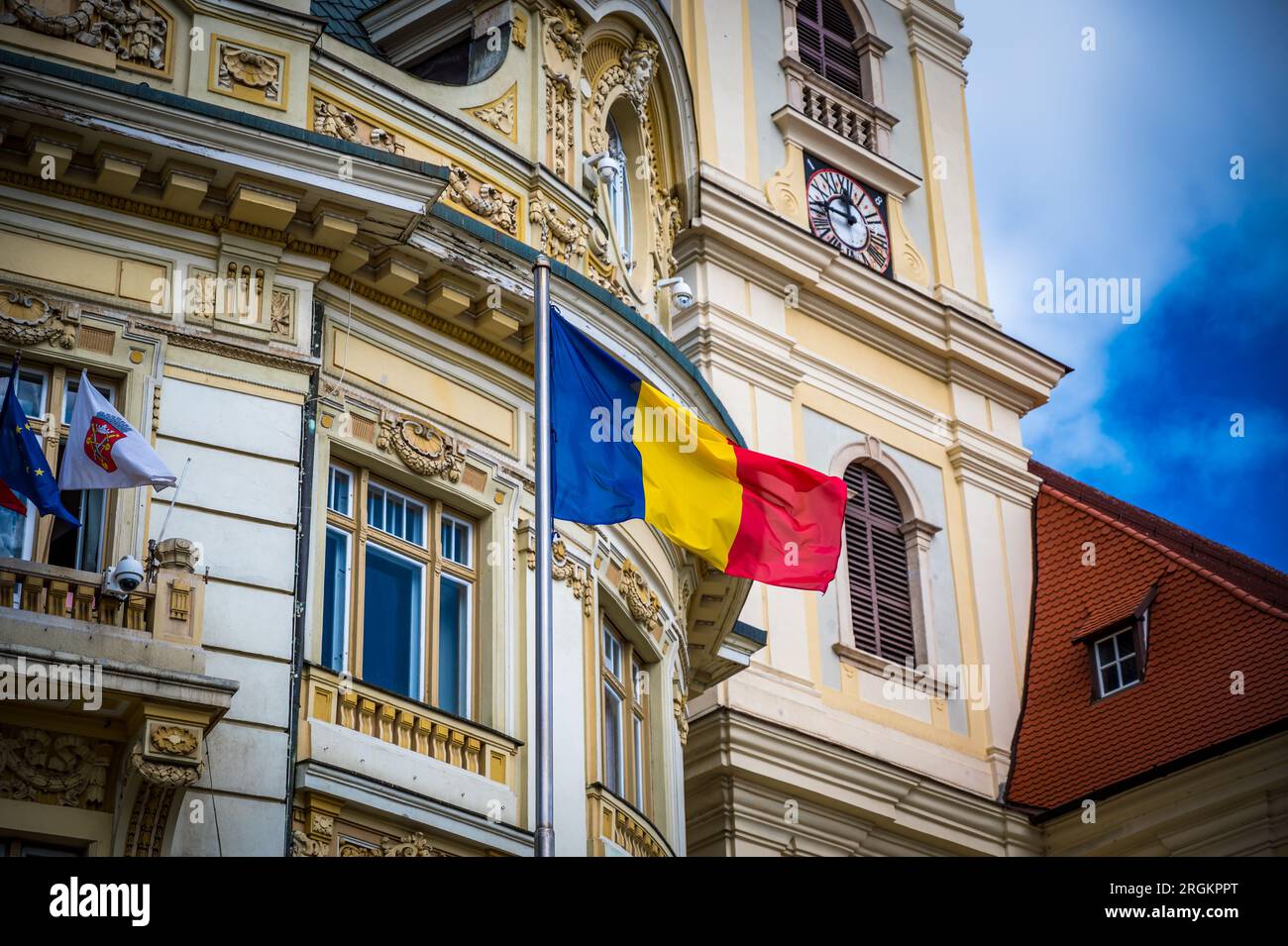 Primaria primaria hi-res stock photography and images - Alamy