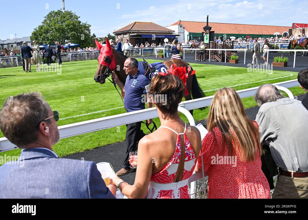 Racing horses parade ring hi-res stock photography and images - Alamy