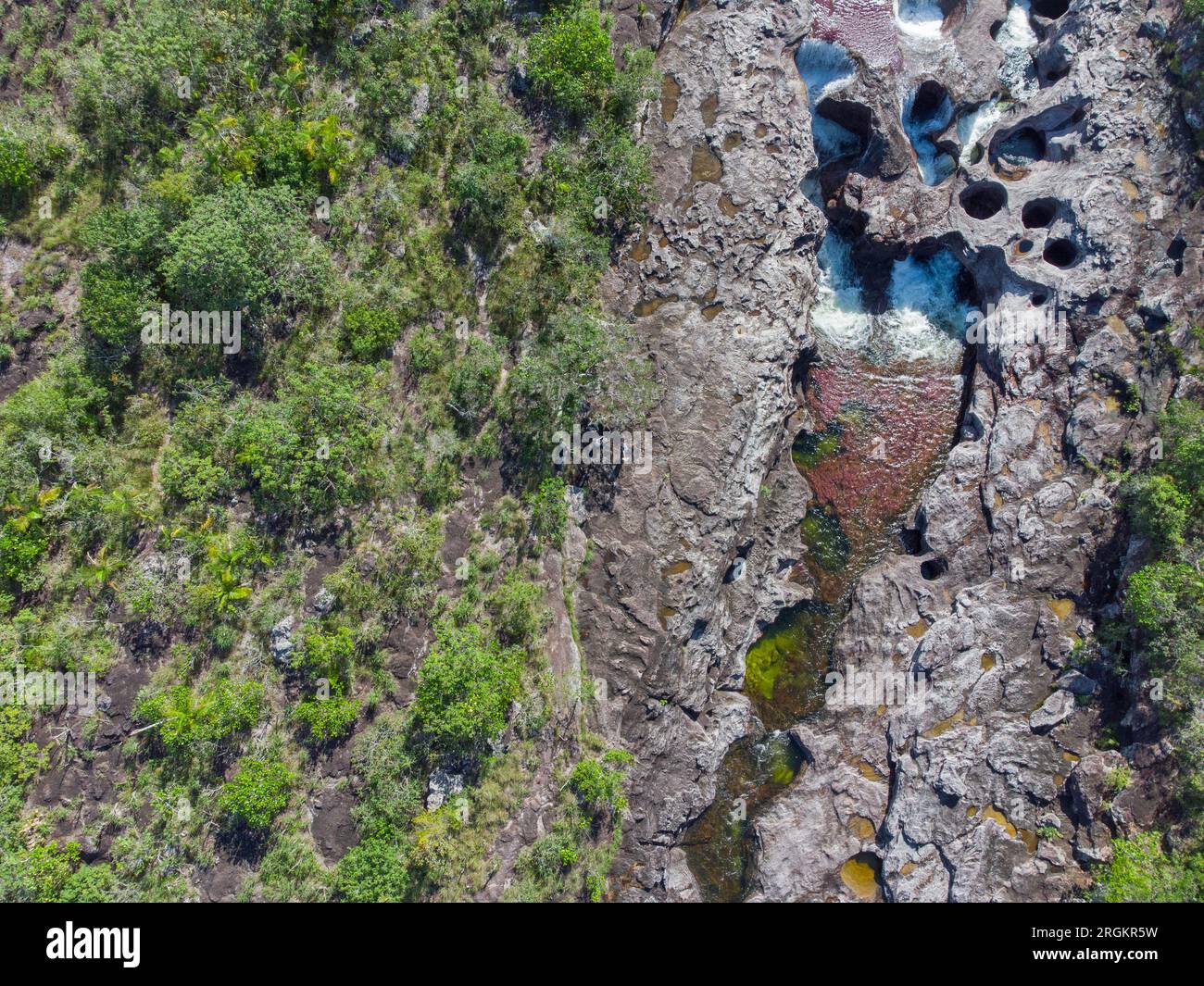 Caño Cristales, also known as the River of Five Colors, is a Colombian ...