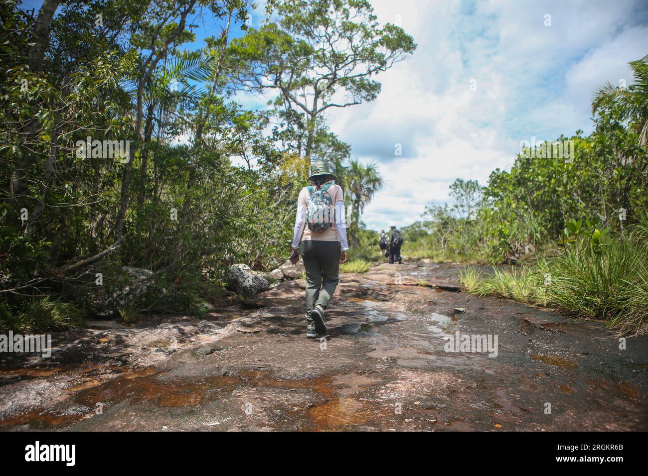 Caño Cristales, also known as the River of Five Colors, is a Colombian ...
