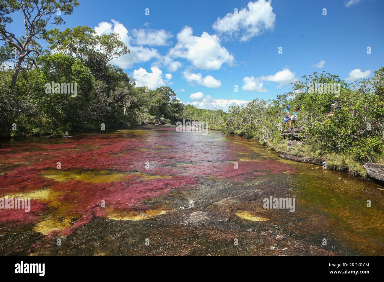 Caño Cristales, also known as the River of Five Colors, is a Colombian ...