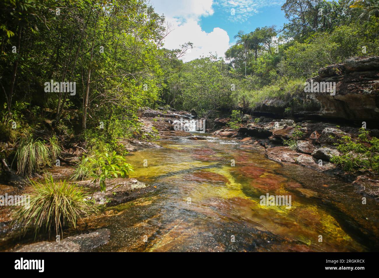 Caño Cristales, also known as the River of Five Colors, is a Colombian ...
