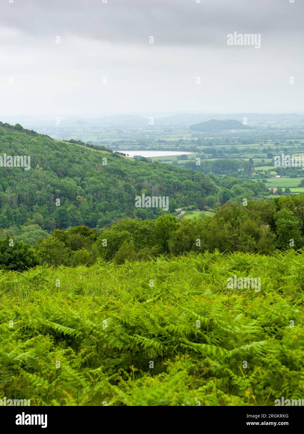 Cheddar cross somerset hi-res stock photography and images - Alamy