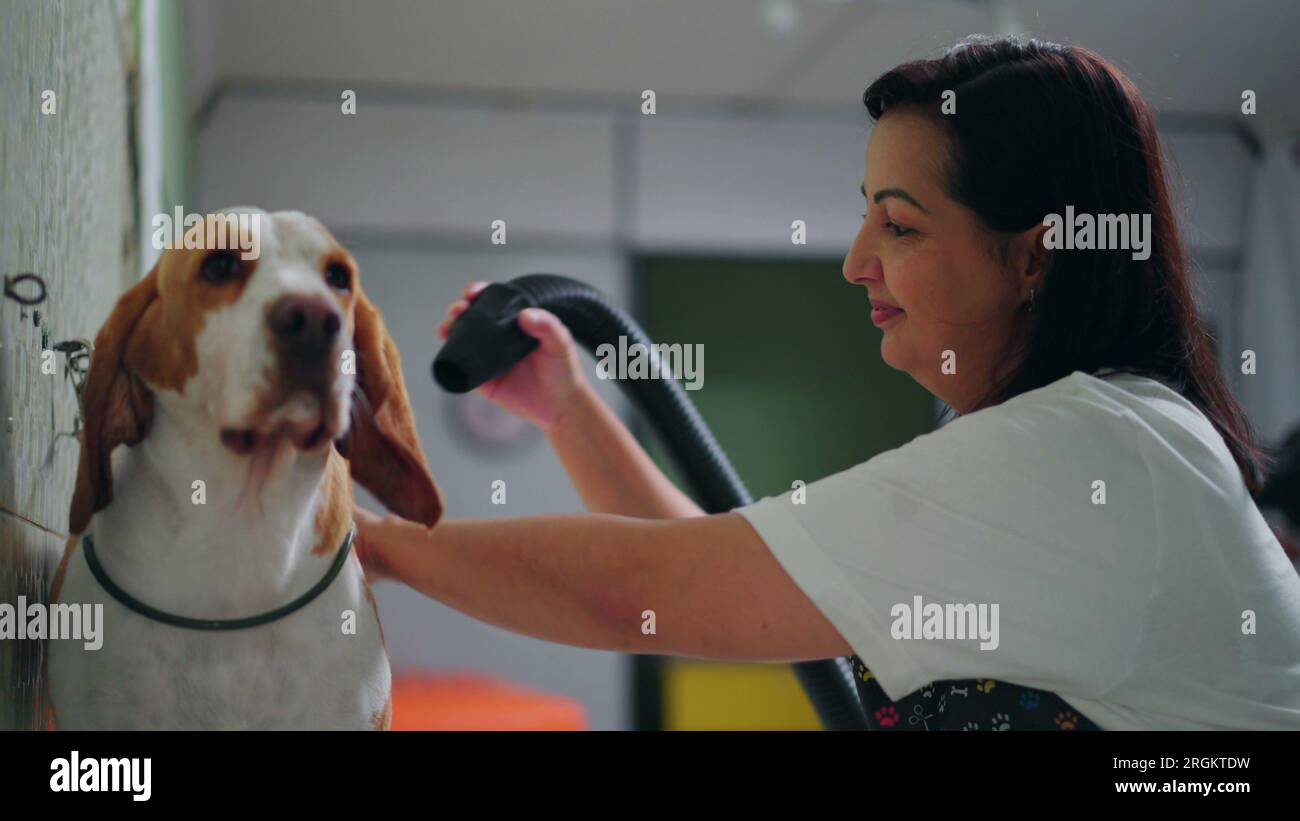 Female pet shop employee hi-res stock photography and images - Alamy