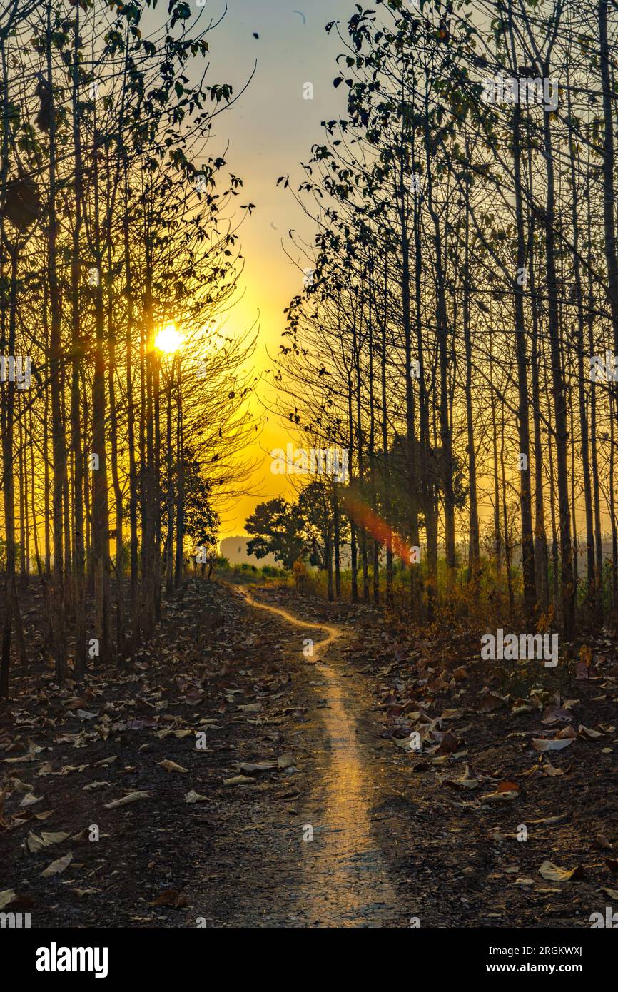 Witness captivating beauty sunset casting hi-res stock photography and ...