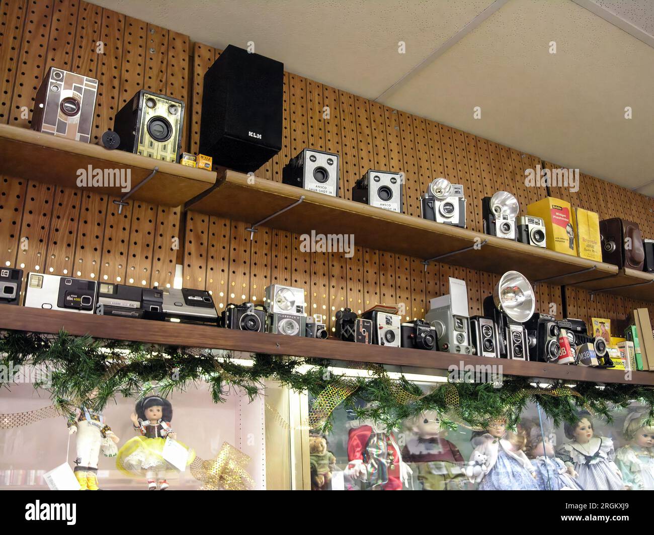 A shelf filled with old cameras and dolls. The cameras are all ...