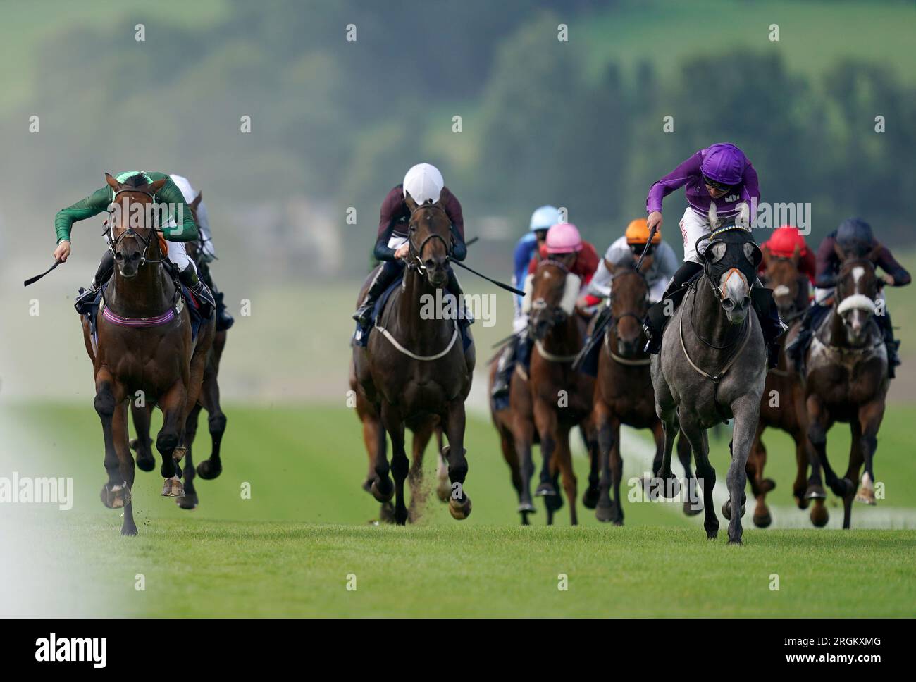 Cabinet of clowns hi-res stock photography and images - Alamy