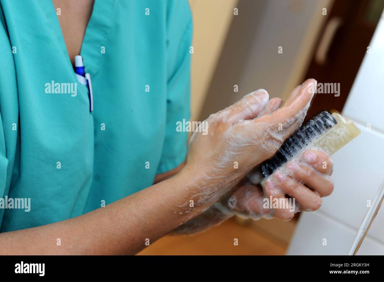 Veterinary surgeon washing hands Stock Photo - Alamy