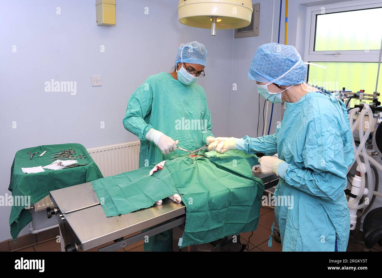 Operating room uk hi-res stock photography and images - Alamy
