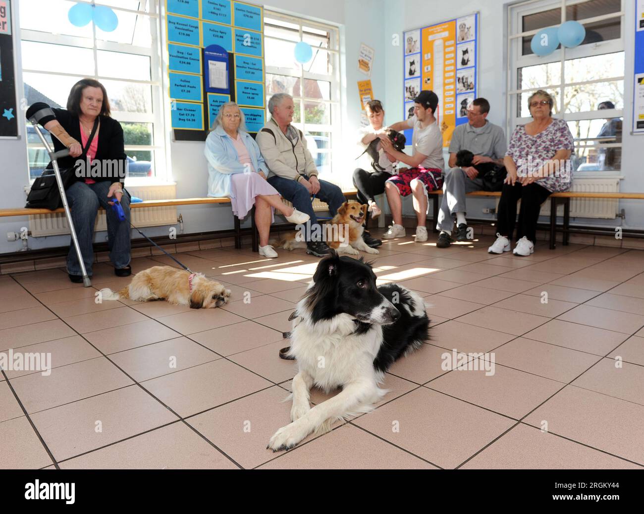 Animal room hi-res stock photography and images - Alamy