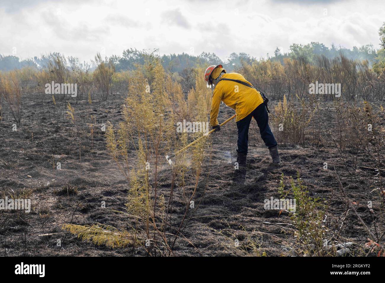 August 10, 2023: Austin Fire Department Firefighters mop-up after a ...