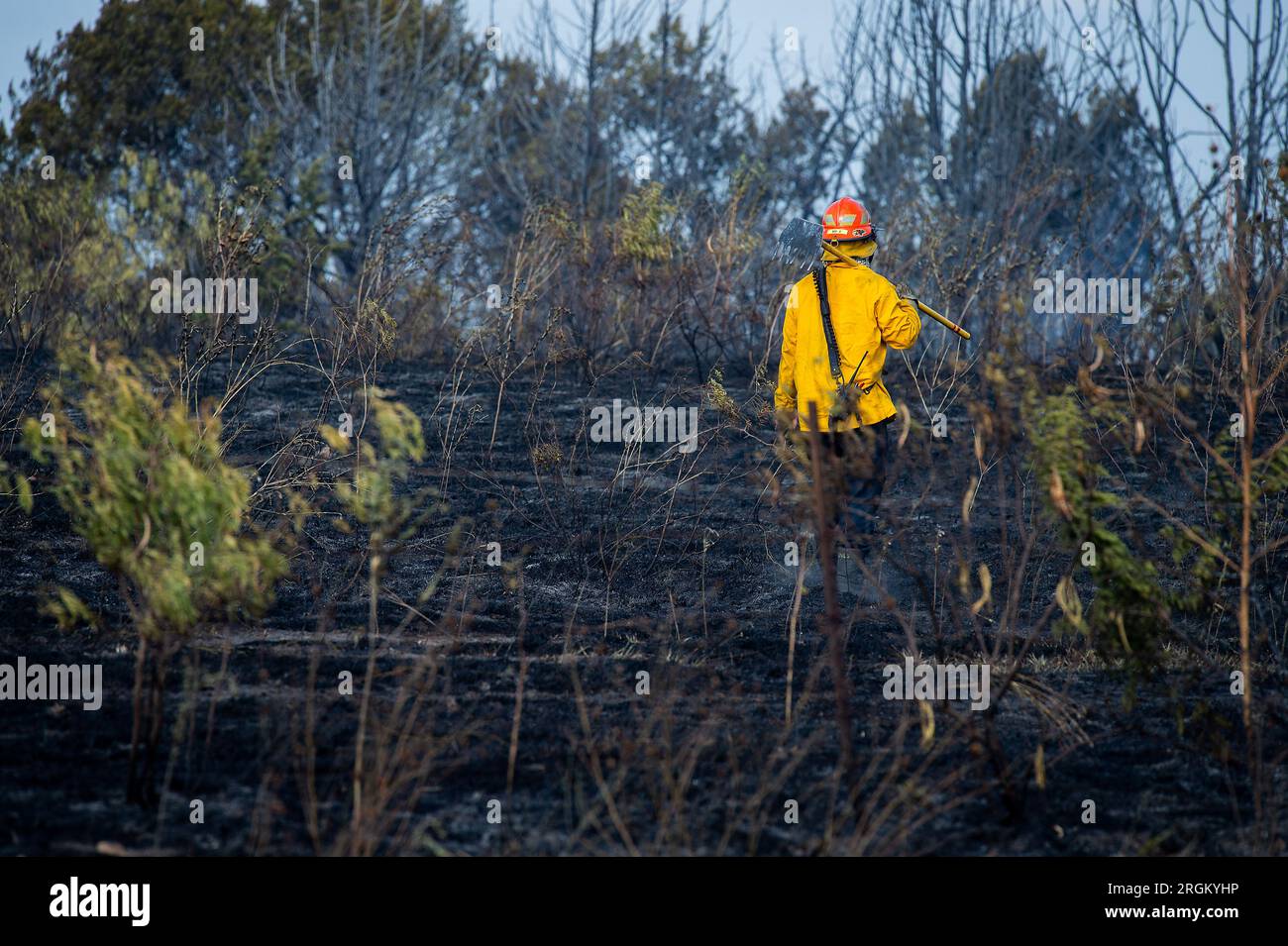 20230220 hi-res stock photography and images - Alamy