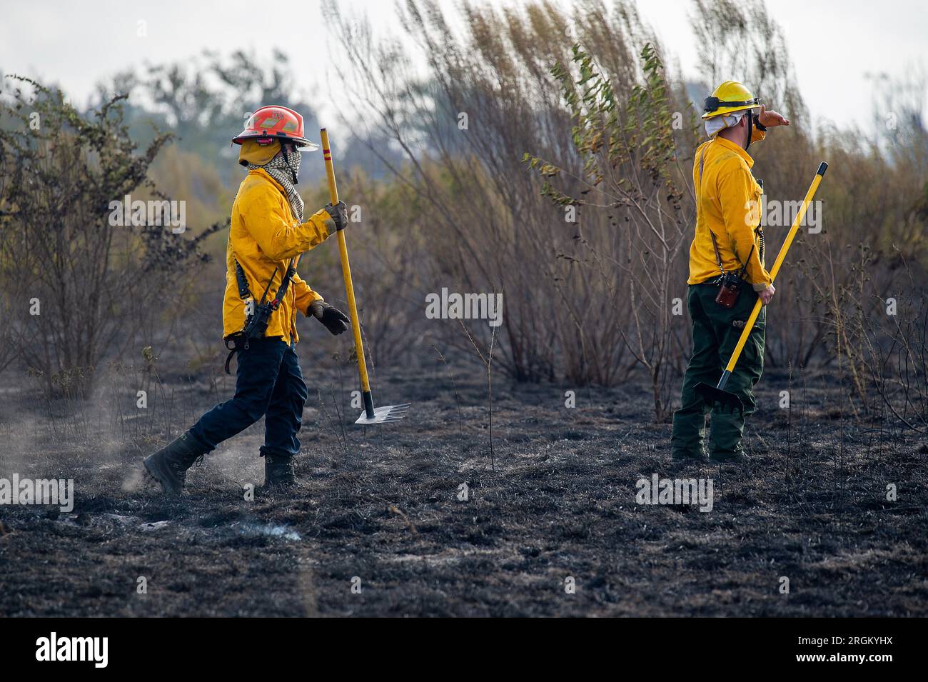 August 10, 2023: Austin Fire Department Firefighters mop-up after a ...