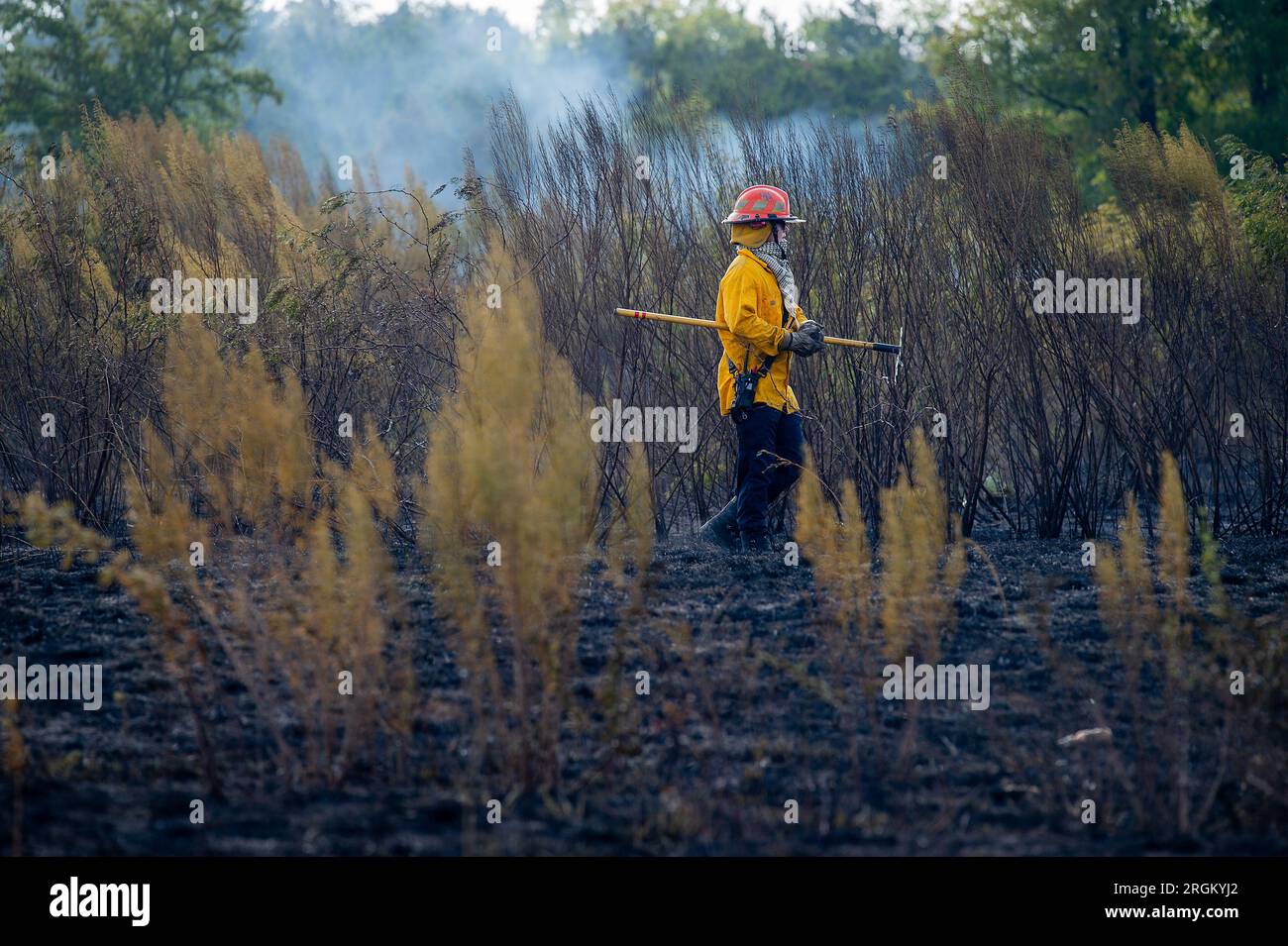 August 10, 2023: Austin Fire Department Firefighters mop-up after a ...