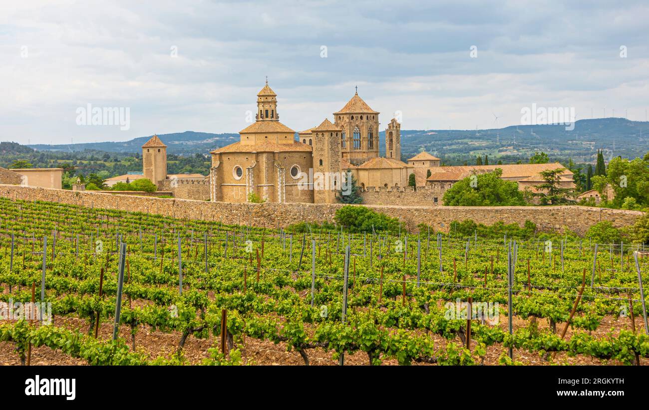 View over vineyard to monastery of Poblet in Spain Stock Photo - Alamy
