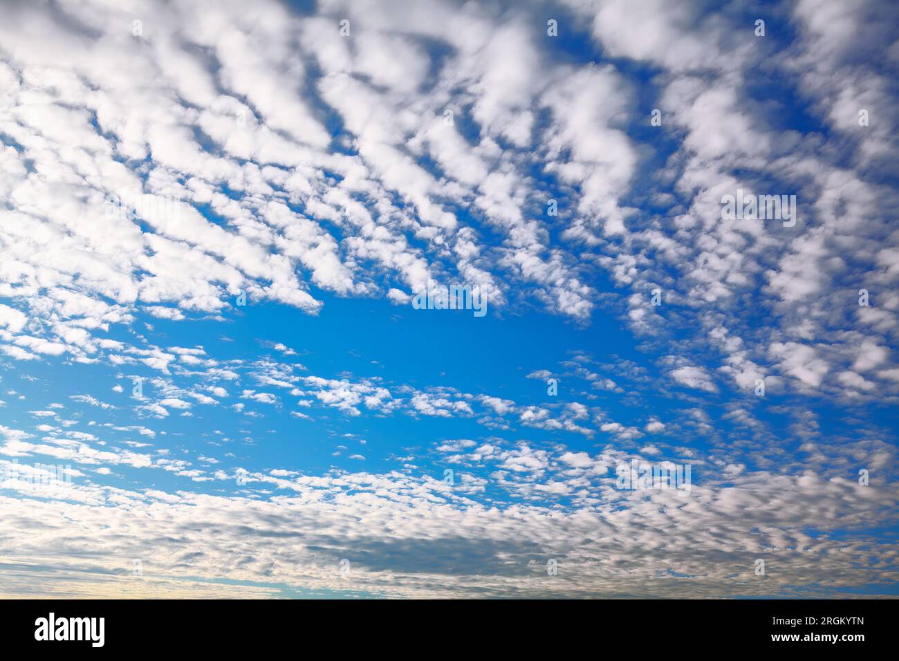 Blue sky background with tiny clouds . Cumulus white clouds in the morning Stock Photo - Alamy