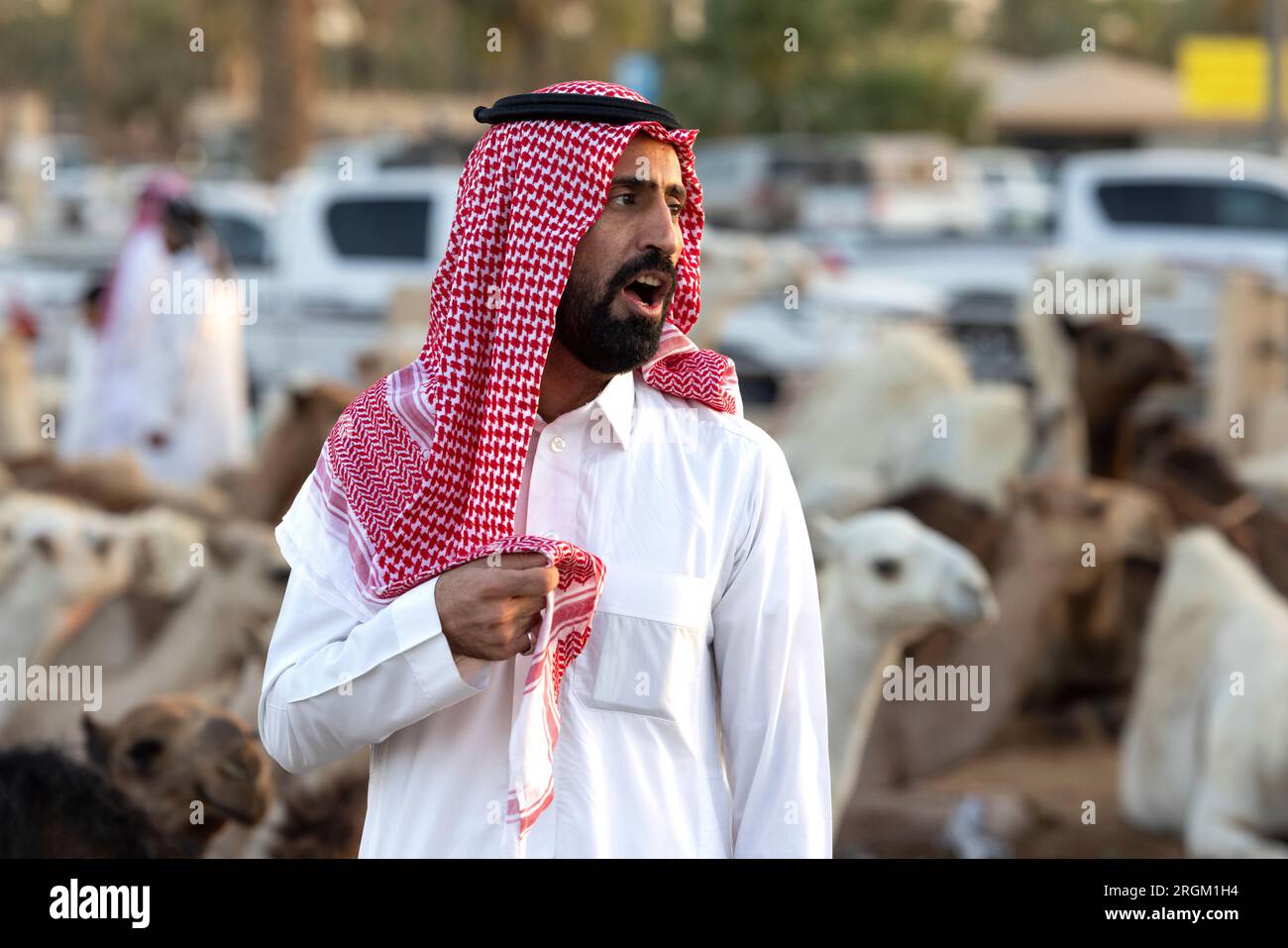 Saudi arabian men hi-res stock photography and images - Alamy