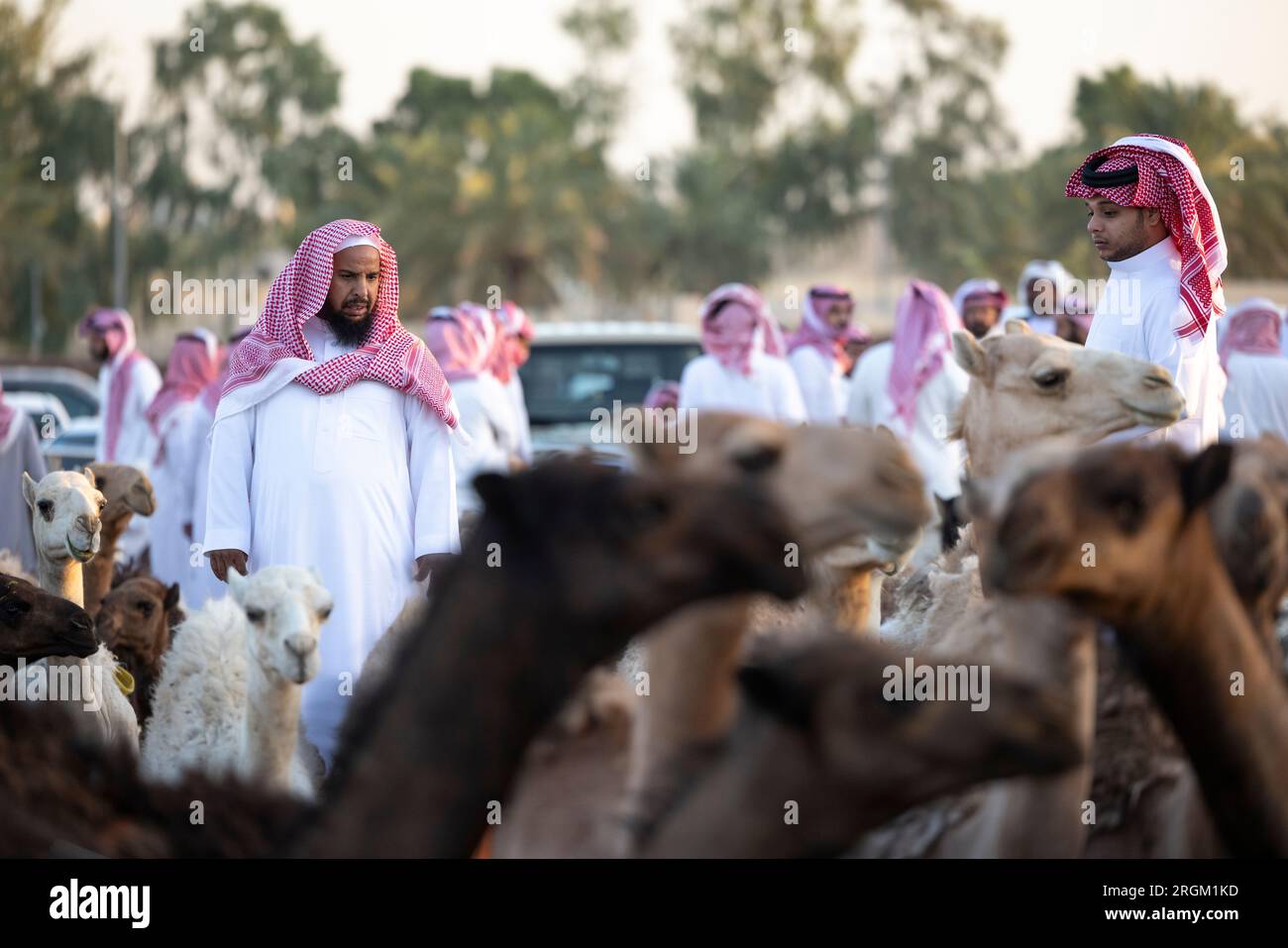 Saudi arabian men hi-res stock photography and images - Alamy