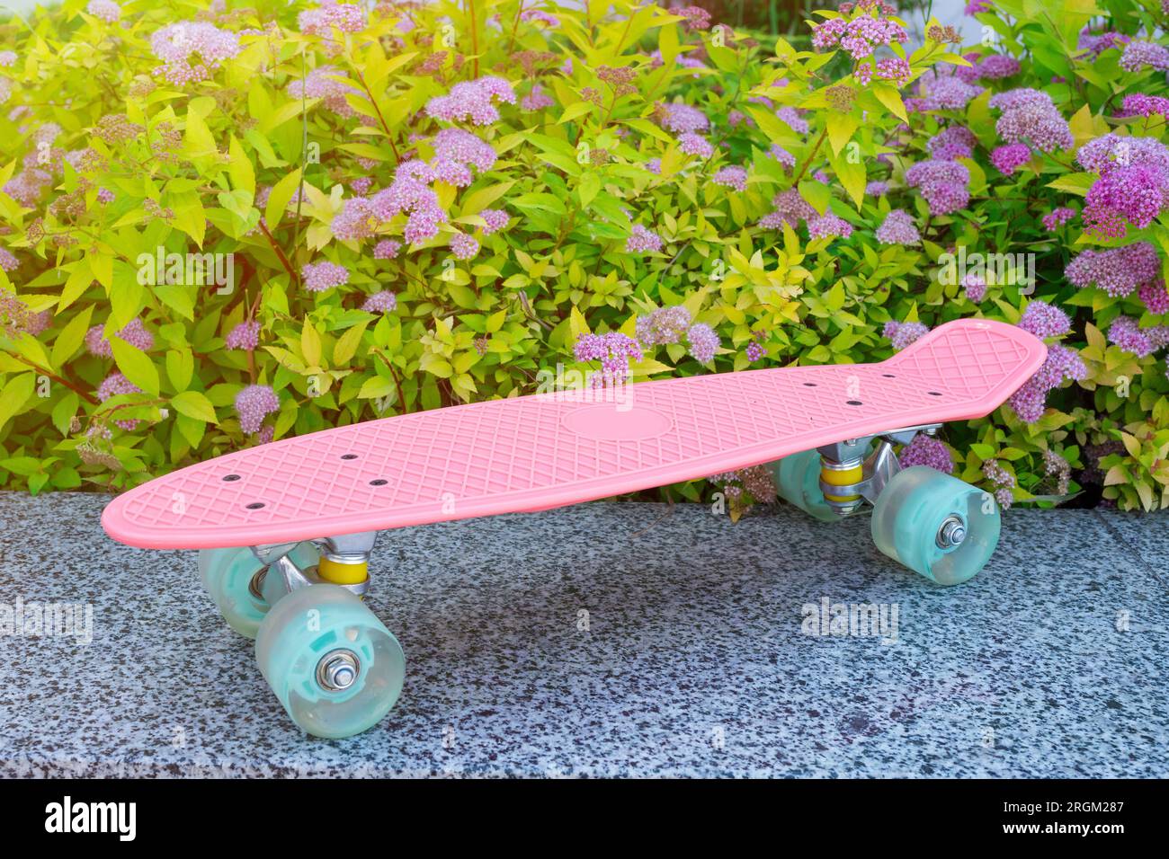 Plastic skateboard on the pavement in the park closeup. Sport concept ...