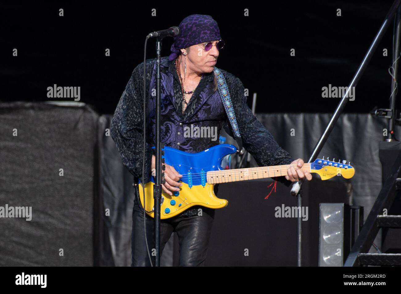 Steven Van Zandt Head Injury