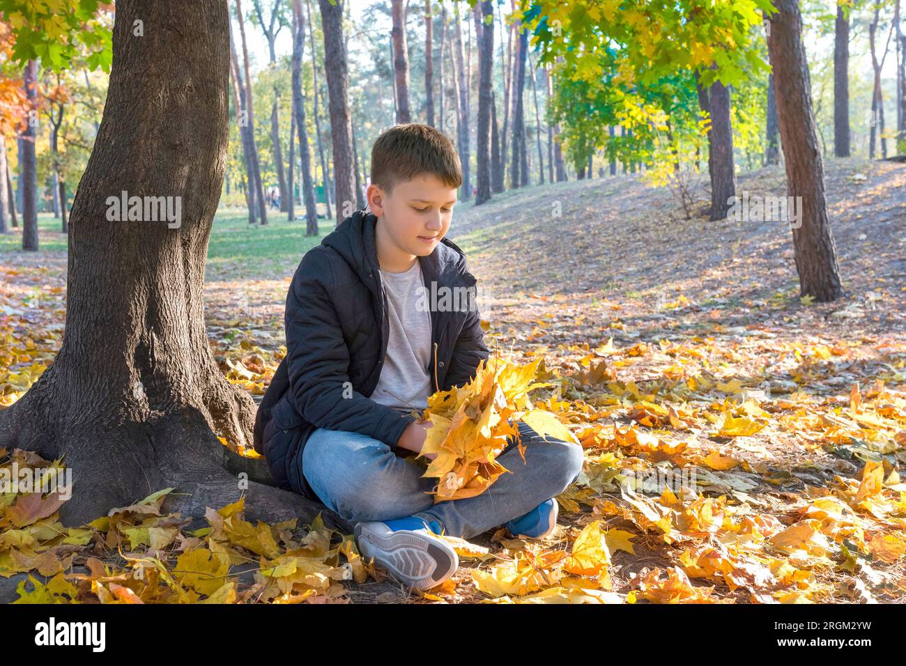 Boy sitting under a tree hi-res stock photography and images - Alamy