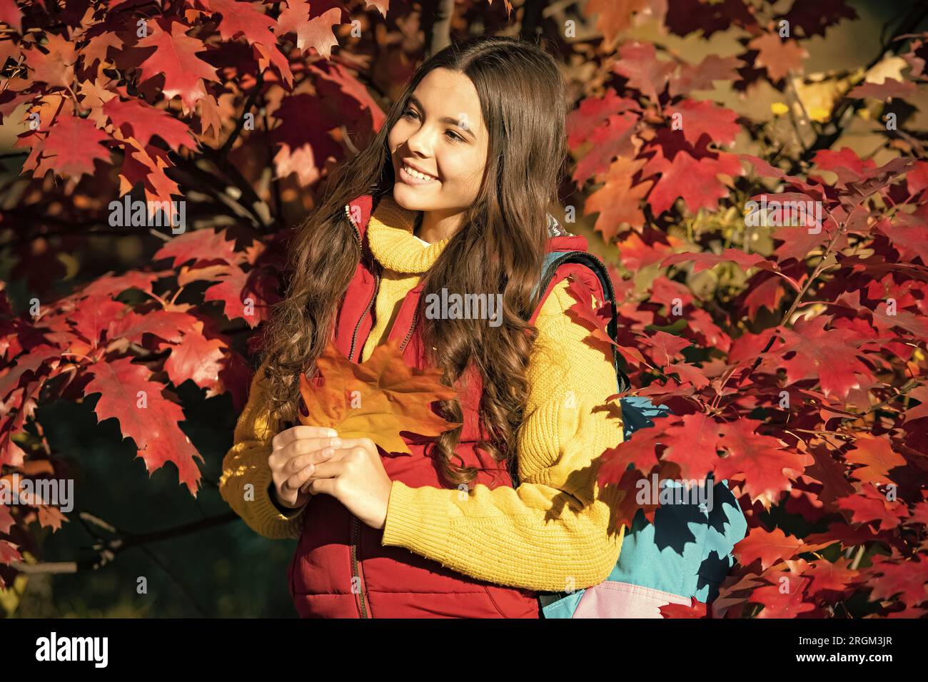 Autumn teenager girl portrait in fall autumn leaves. happy child with ...