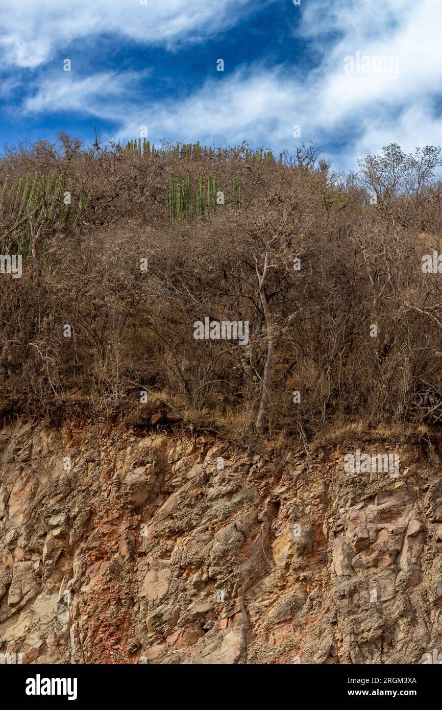 Lant hi-res stock photography and images - Alamy