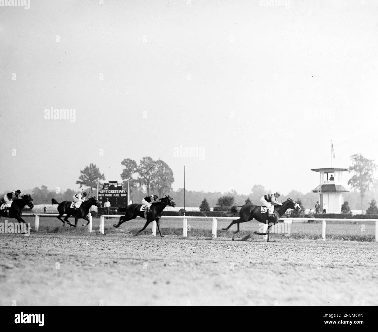 Photo finish horse hi-res stock photography and images - Alamy