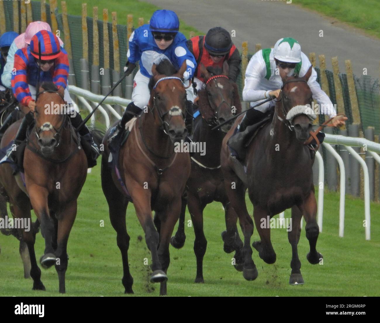Brighton racing august 2023 hi-res stock photography and images - Alamy
