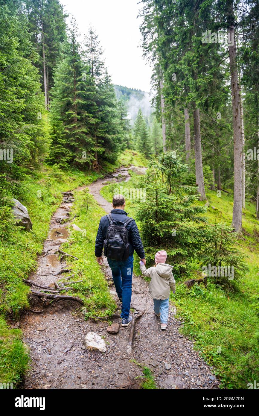 Tourists walking in alpine forest on summer day. Hikers traveler ...