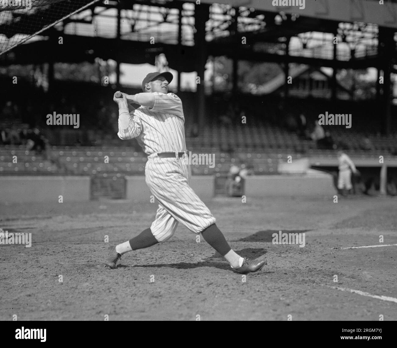 Goose goslin hi-res stock photography and images - Alamy