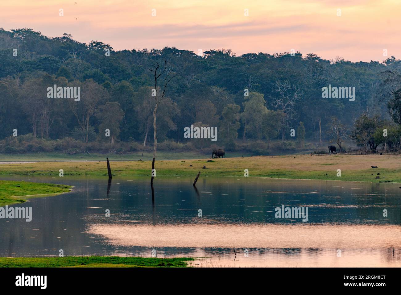 Evening scenery from the beautiful Nagarahole Tiger Reserve, Karnataka ...