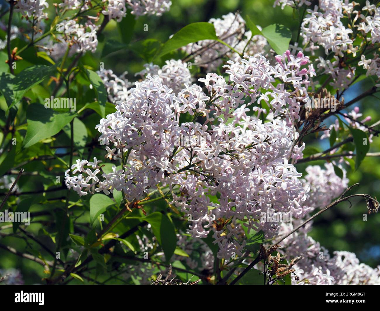 Lat 47 46471400 hi-res stock photography and images - Alamy