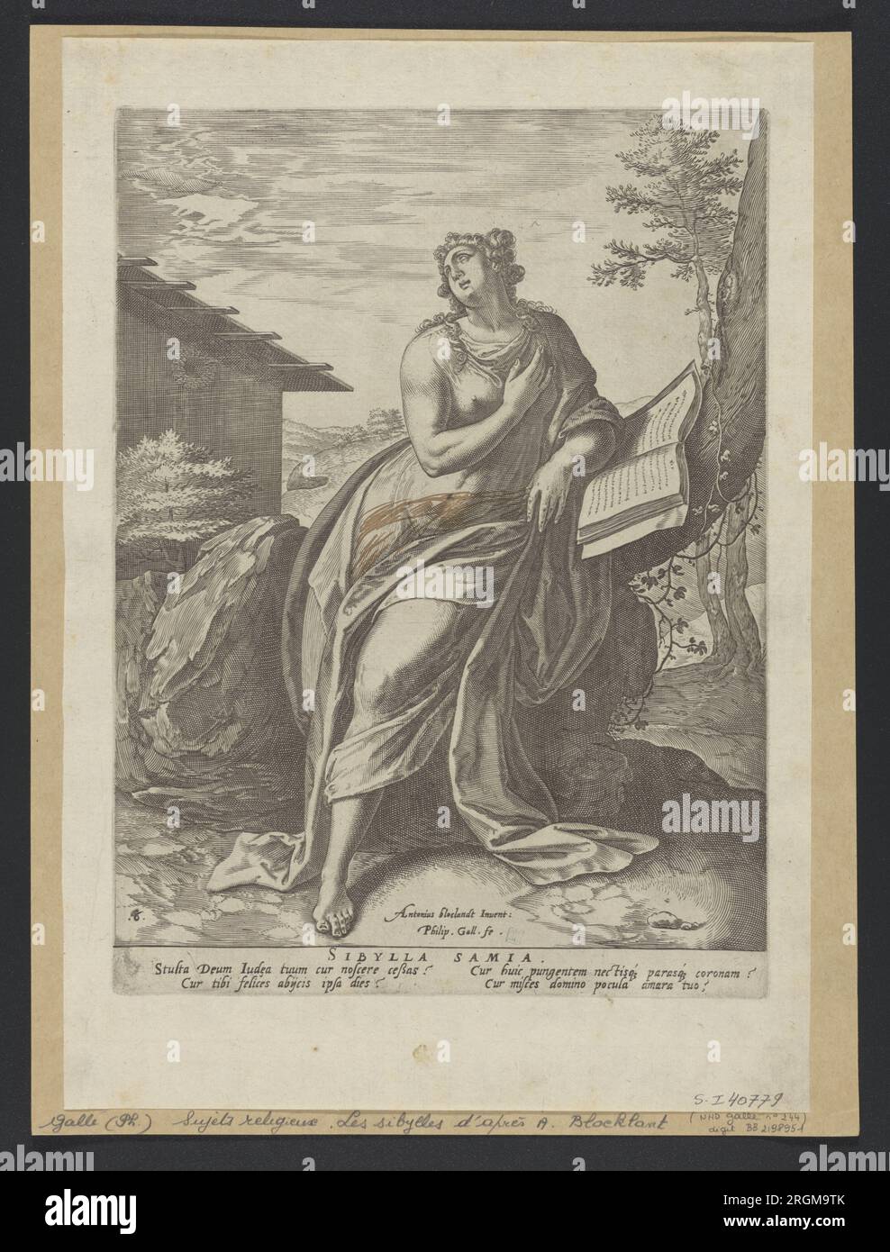 Sibylla samia hi-res stock photography and images - Alamy