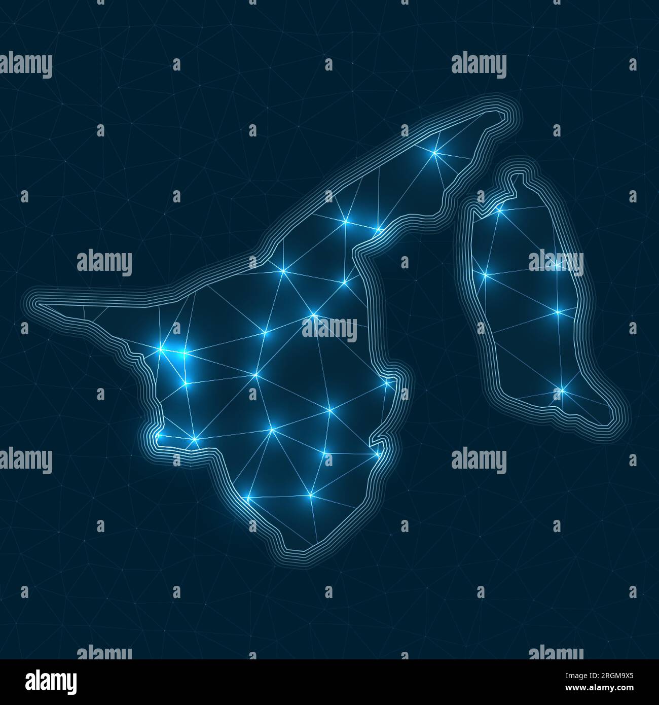 Brunei network map. Abstract geometric map of the country. Digital connections and ...