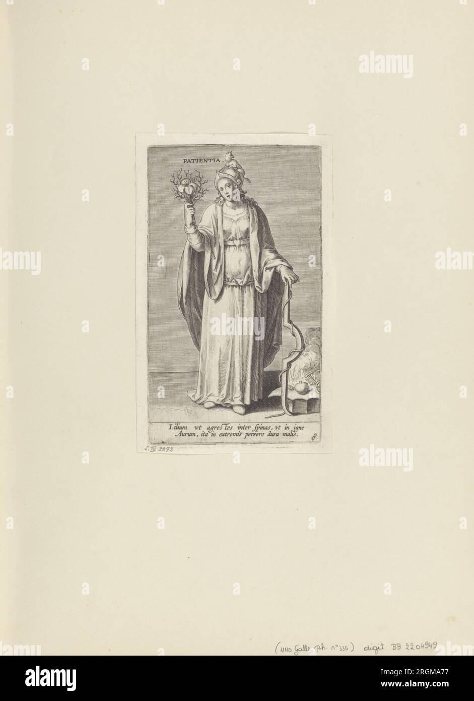 Patientia between 1585 and 1590 by Philip Galle Stock Photo - Alamy