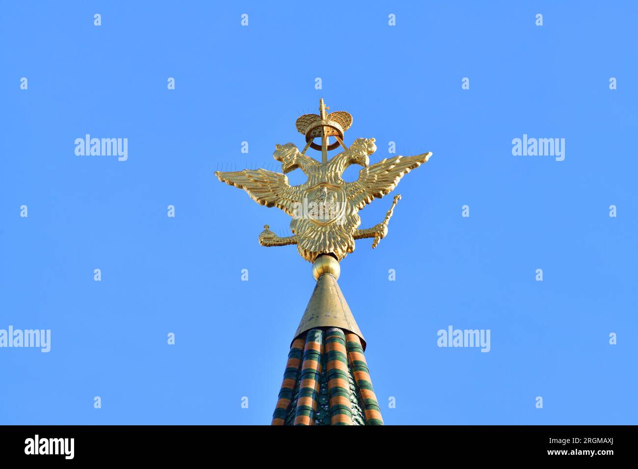 Double-headed eagle - coat of arms of the Russian Federation on the ...